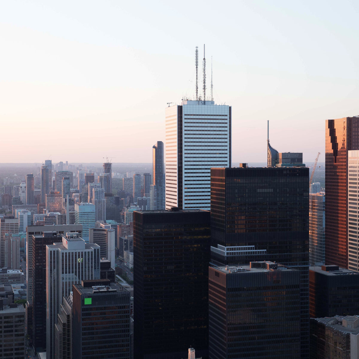 Exploring the World of Fastener Head Styles – DMS Fasteners